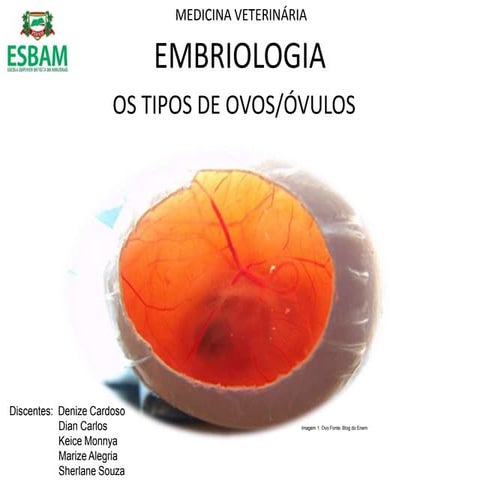 Tipos de ovos - Embriologia | PPTX