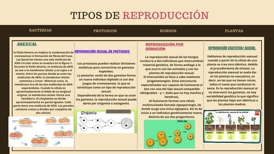 Reproduccion en las plantas | PPTX