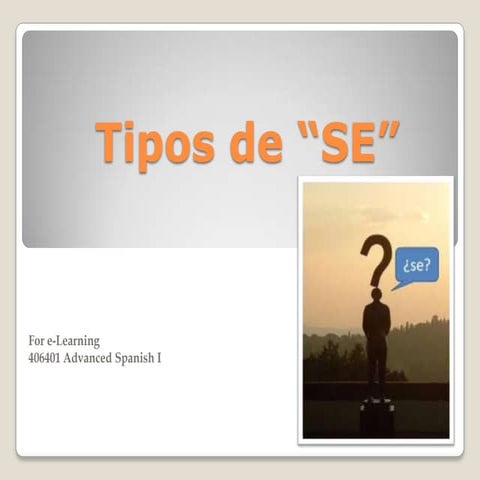 02 Tipos de SE | PPTX