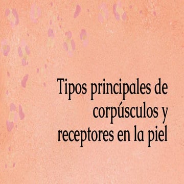 Corpusculos de la piel | DOC