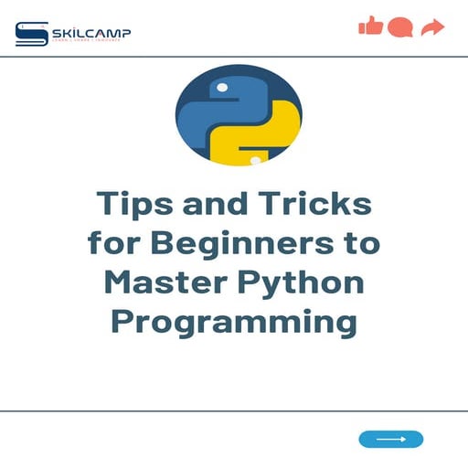 Python Mastery Course 2024: Top Tips and Tricks for New Programmers | PDF