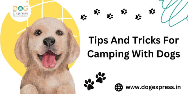 Dog Tricks List