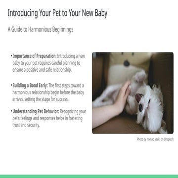 Tips for Introducing Your Pet to Your New Baby | PPT
