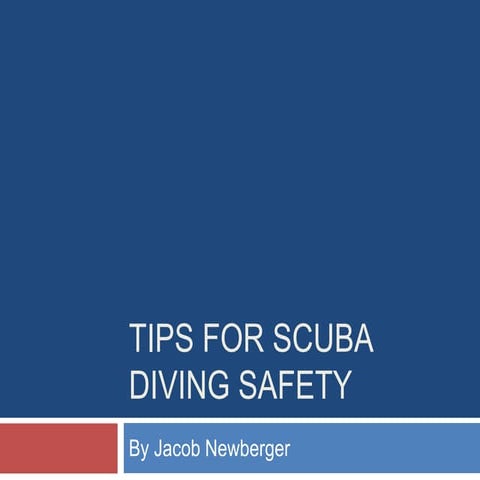 Overview of Conducting Scuba Diving for Beginners in Andaman | PDF