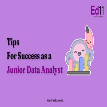 Tips for Success as a Junior Data Analyst.pdf