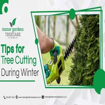 Tips for Tree Cutting During Winter.pptx