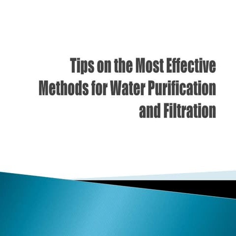 Tips on the Most Effective Methods for Water Purification and ...
