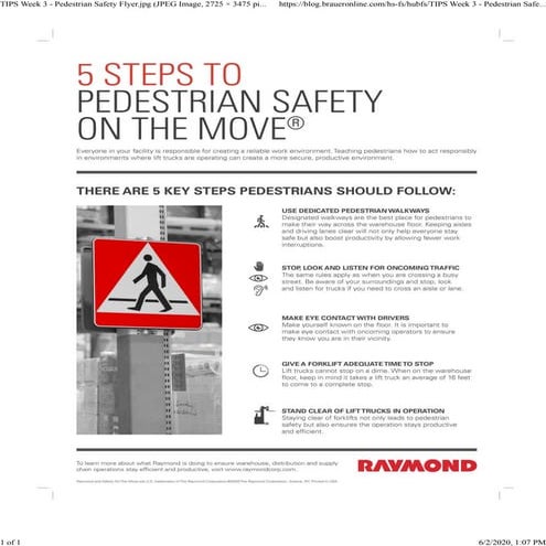 5 Steps to Pedestrian Safety | PDF