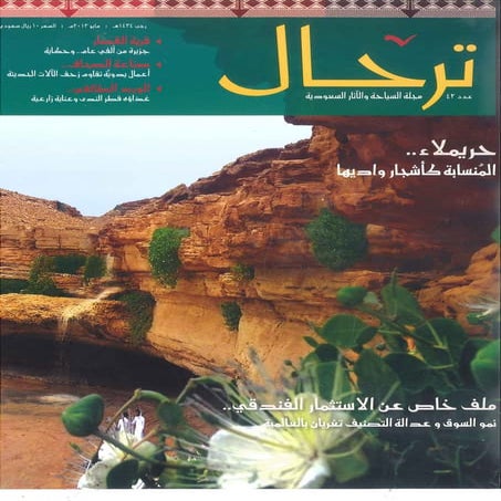 Iconsulthotels & the 2013 SETAs in Tirhal - The Saudi Tourism Magazine ...