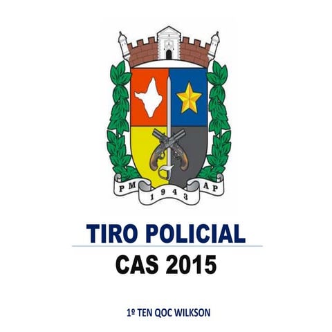 Soldier's Training Guide to the Officer Record Brief_02MAY12 | PDF