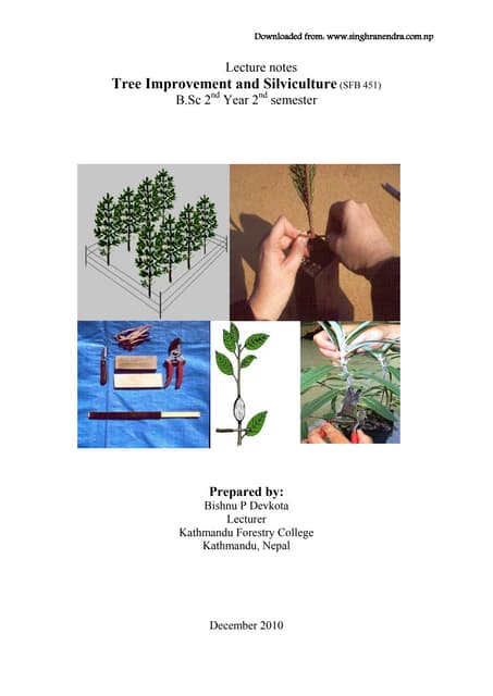 Tree improvement | Techniques & Practices | PDF