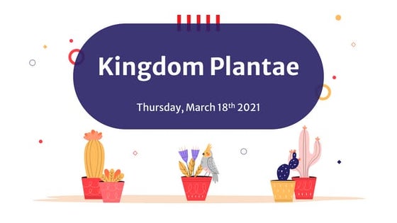 Biology - Chp 22-25 - Plants - Study Guide | PDF