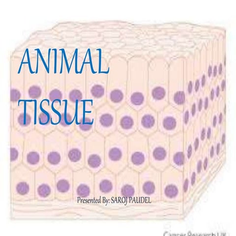 CELLS COMBINES TO FORM VARIOUS TYPE .pptx