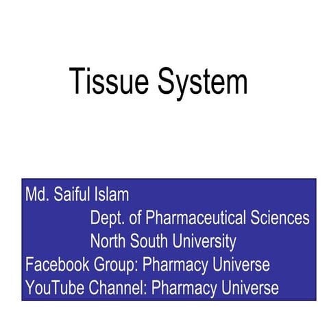 Tissue System/Collection of Cells | PPT