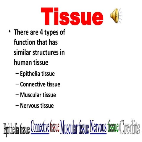 Tissue | PPT
