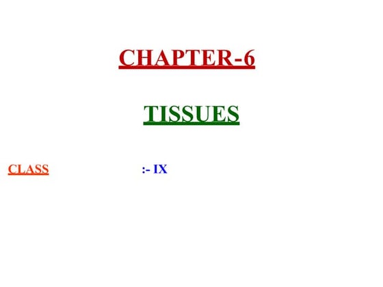 Tissues Class 9 ppt | PPTX