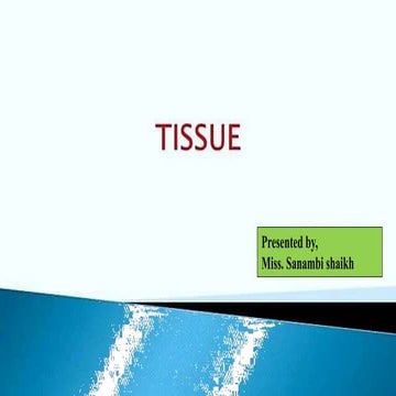 tissue.pptx