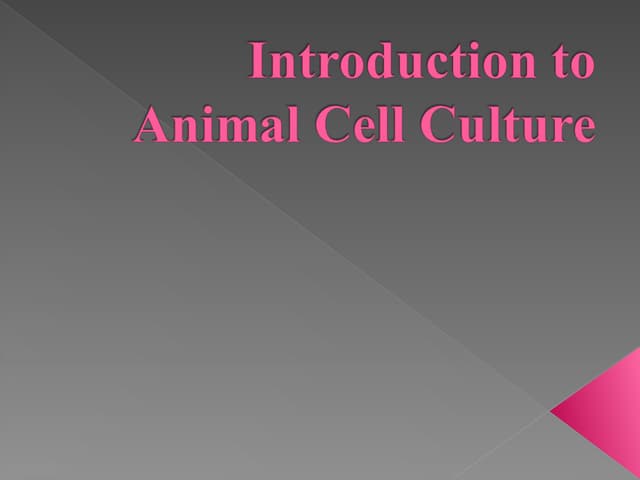 Mammalian cell culture, basic techniques | PPTX