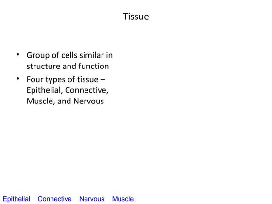 Anatomy and physiology of human tissues.pptx | Biological Sciences ...