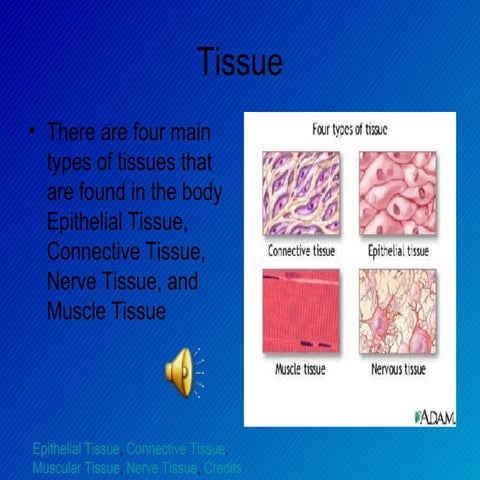 Tissue Slide Show | PPT