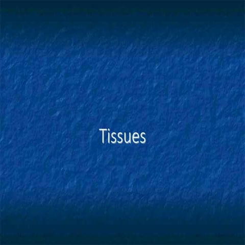 Tissue 1.pptx