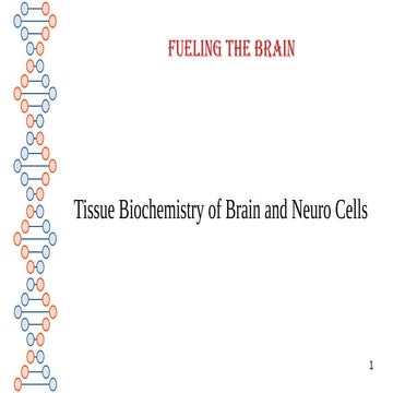 Tissue bch 2 - Dr dandare.pdfbicochemistry lecture note | PDF