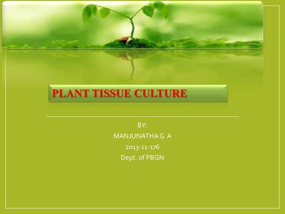 Preparation of plant tissue culture media,types and Sterilization | PPT
