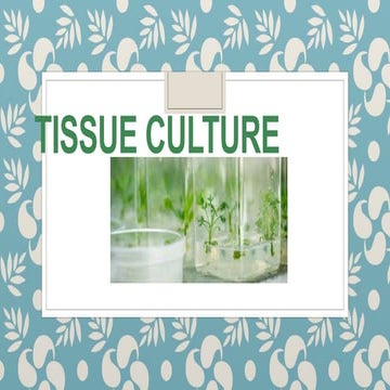 Tissue culture | PPT