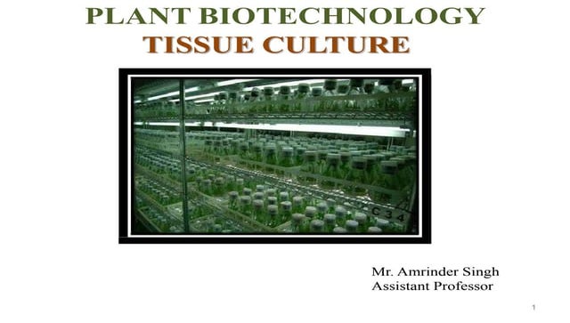 plant tissue culture.pptx