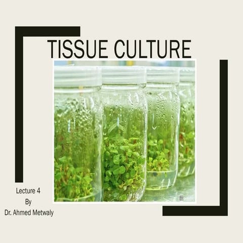 Tissue culture 4 | PPT