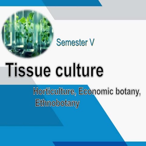 Tissue culture -Techniques, Applications | PPTX