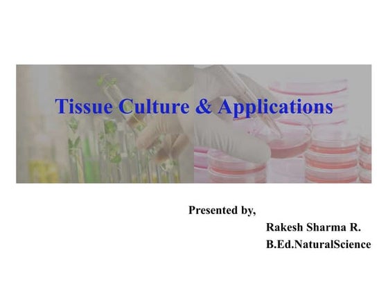 Cell suspension culture | PPTX