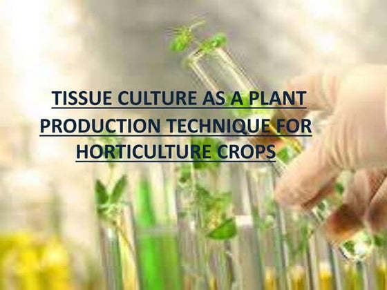 Plant Tissue Culture Technique and its applications | PPT