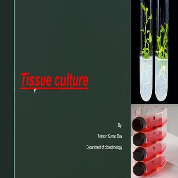Tissue culture | PPTX