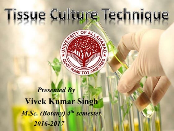 Plant tissue culture | PPT