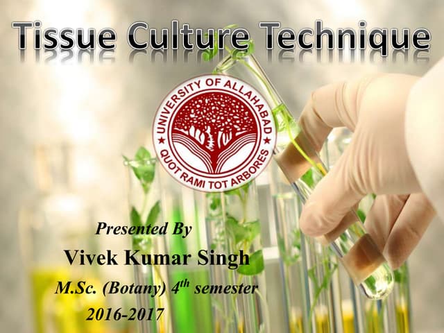 Plant tissue culture laboratory | PPTX