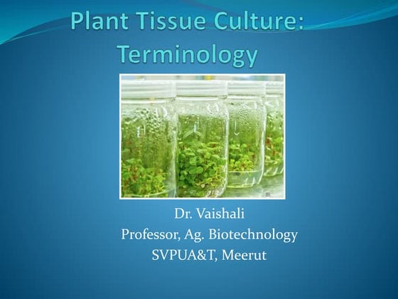 Callus culture - Plant Tissue Culture | PPTX