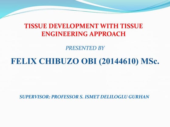 TISSUE ENGINEERING | PPT | Biological Sciences | Science