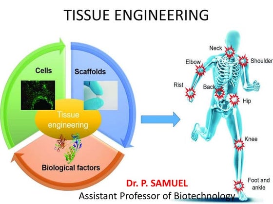 TISSUE ENGINEERING | PPT