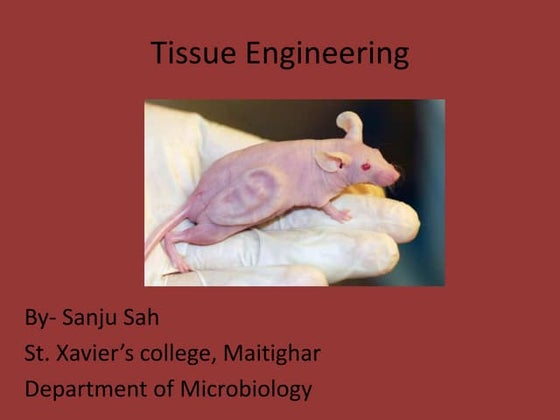 Tissue Engineering | PPTX