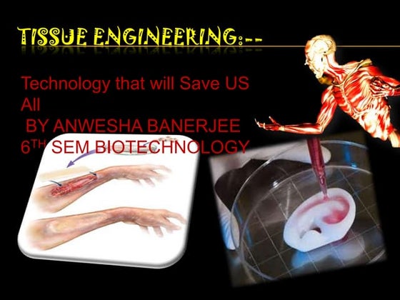 Tissue engineering (group presentation) | PPT