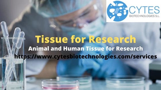 Tissue For Research | Cytes biotechnologies | PPT
