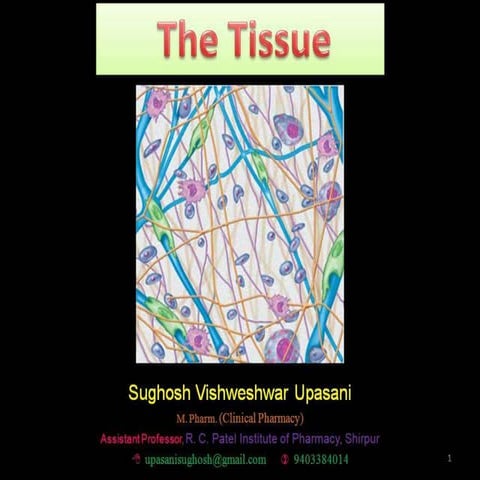 Tissue hap by sughosh | PPT