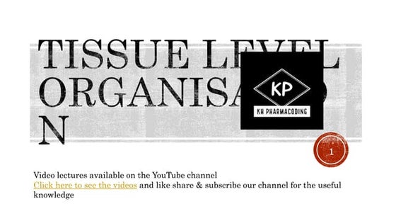 Epithelial tissue - Presentation - Tasnim Mimmi.pptx