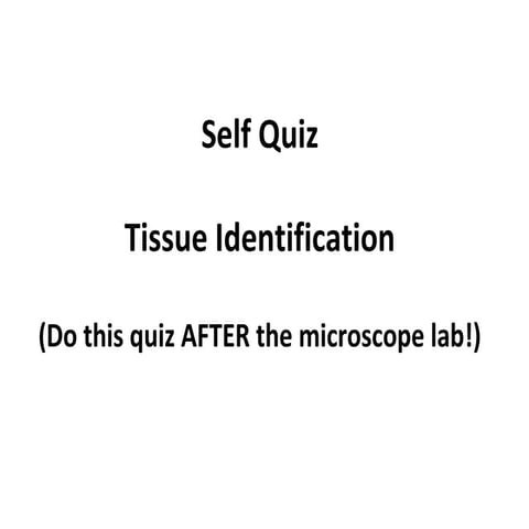 Tissue microscope mini-quiz | PPT