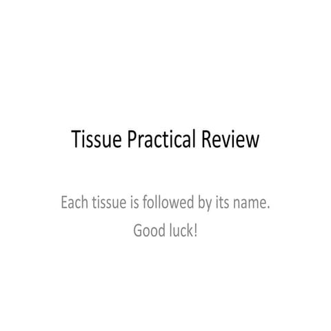 Tissue practical review | PPT