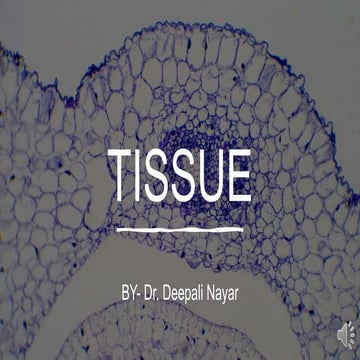 types of animal tissues class 9 | PPTX