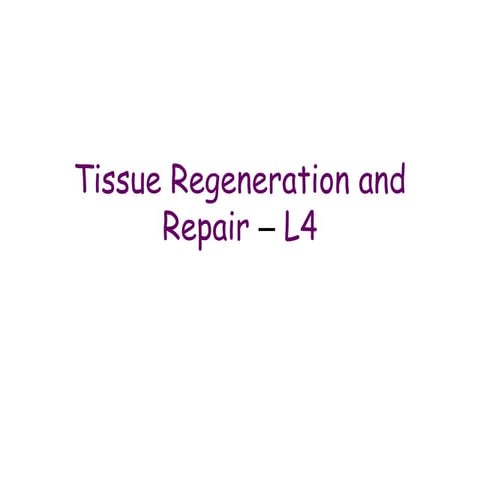 Tissue regeneration and repair l4 | PPT