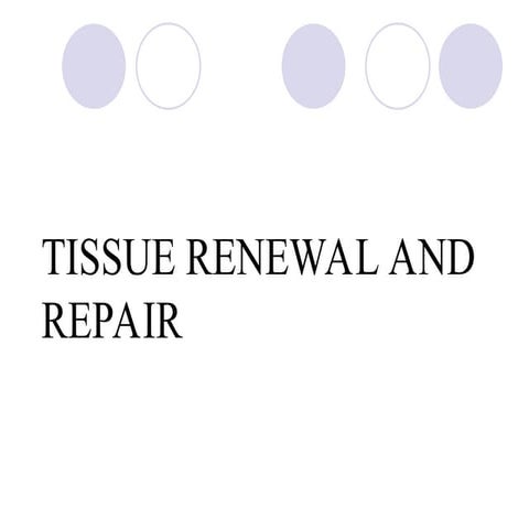 TISSUE RENEWAL AND REPAIR - body’s ability to replace injured.ppt ...