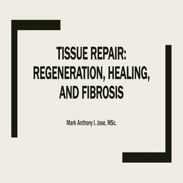 Tissue repair, regeneration and wound healing (1) | PPT